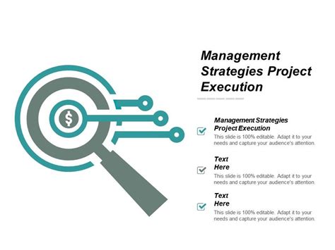 Management Strategies Project Execution Ppt Powerpoint Presentation