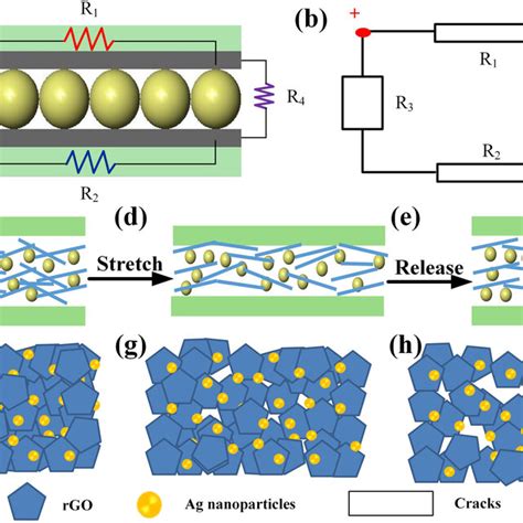 Working Mechanism Of Proposed Strain Sensor A Schematic Of Each Download Scientific Diagram