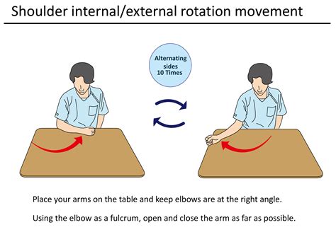 Scapular Internal External Rotation Movement Physio Visuals Illustrated Exercise Stretching
