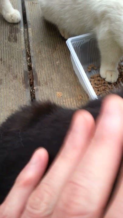 영상이 즐거우셨다면 구독 버튼~ 꾹 눌러주세요~ 화이팅~~ Youtube