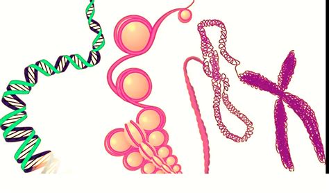 Afraid Of Cancer Or Getting Old Soon There Might Be A Pill For It