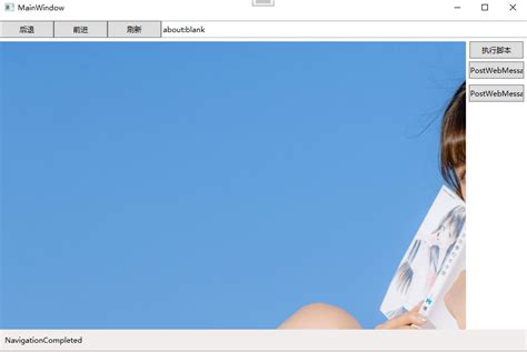 在WPF中使用WebView 详解 编程大咖