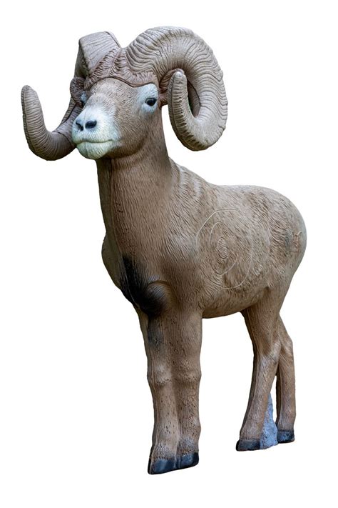 1 2 Scale Bighorn Ram Rinehart3D