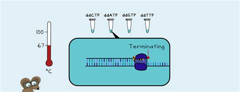 Sanger Dna Sequencing From Then To Now