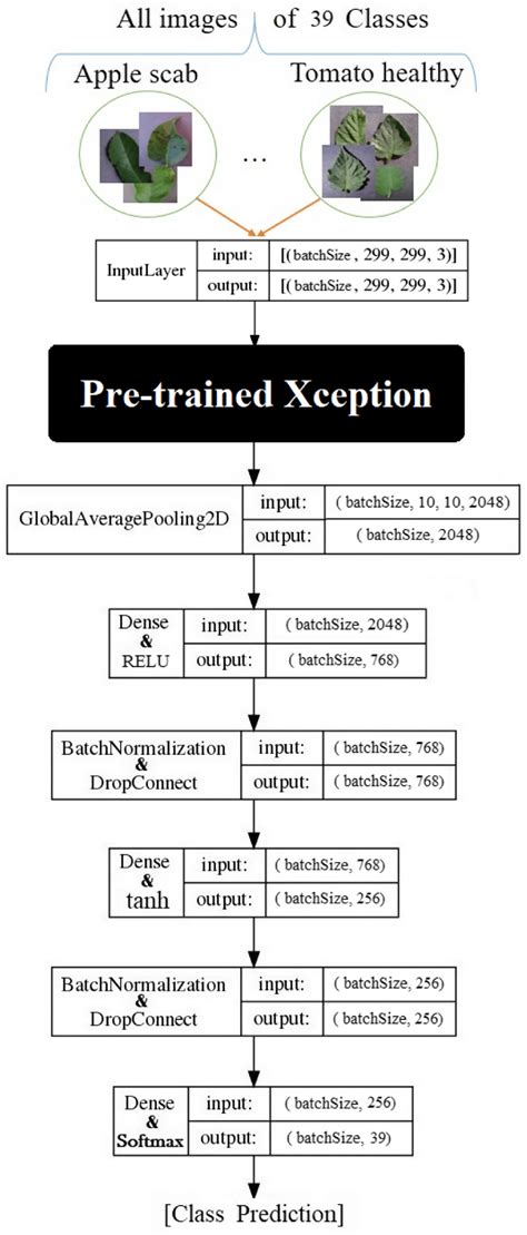 Teacher Xception Based Model Pretrained On The Plantvillage Dataset