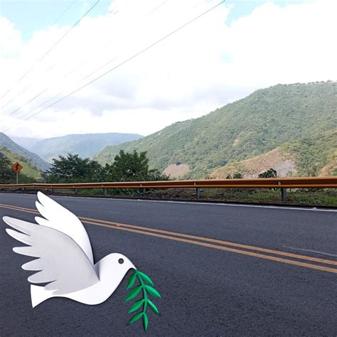 Daniel Felipe Vargas Espitia