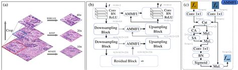 Development And Validation Of Fully Automatic Deep Learning Based Algorithms For