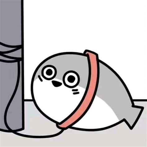 O O