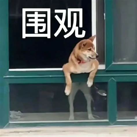 如何用一句话证明你玩过英雄联盟？