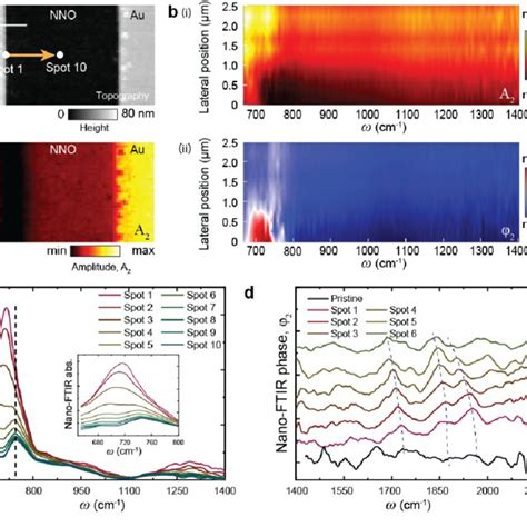 Nano Spectroscopy Of H Nno Revealing Spectral Evolution Of Vibrational