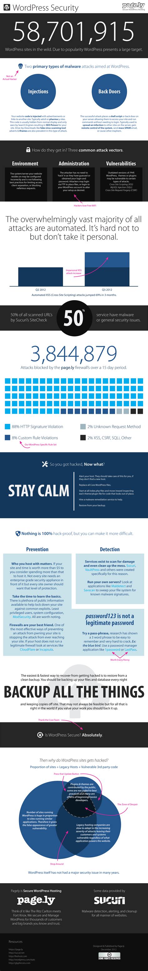 Wordpress Security An Infographic On Common Malware And Attacks Pagely