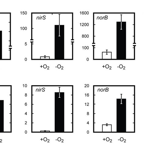 Expression Of Denitrification Functional Genes Nitrate Reductase Download Scientific Diagram