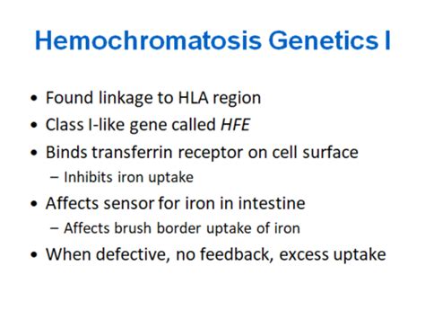 lecture 14 gene mutation analysis flashcards quizlet