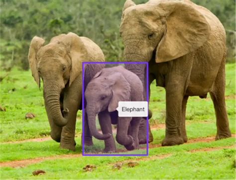 24 Best Machine Learning Datasets For Chatbot Training