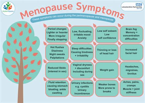 Menopause And Autism Autism Space Leicestershire Partnership Nhs Trust