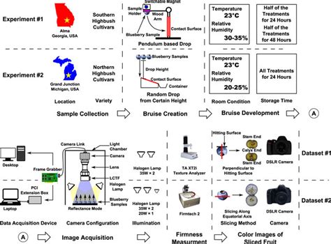 Overall Flowchart Of The Two Experiments Conducted In This Research Download Scientific Diagram
