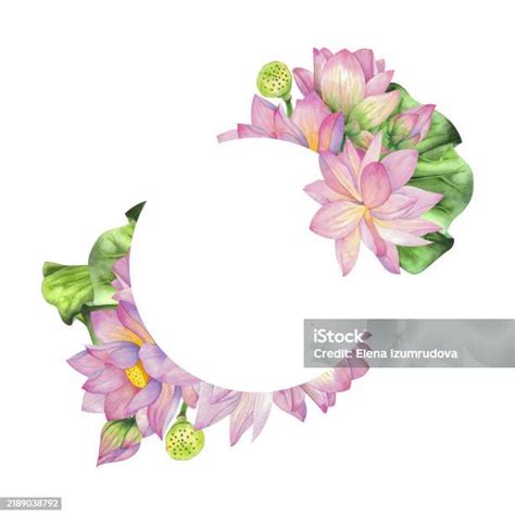 분홍색 피는 연꽃 새싹 잎 둥근 프레임 화 환 배경에 고립되어 있습니다 수채화 손으로 그린 그림입니다 디자인 장식 카드 초대장 포장 기념품 0명에 대한 스톡 벡터 아트 및