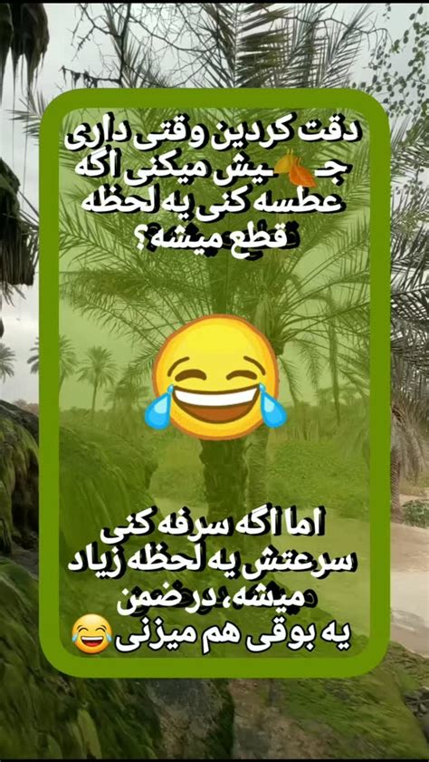 ‎مهدی مظلومی Mahdi Mazloumi‎ ‎لطفا مگس نباش عشقم🤣🤣🤣بفرس برسه دست مگس‌ها فالو کن گمم نکنی