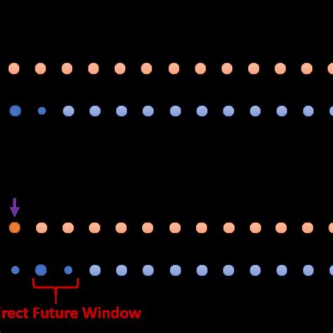 Illustration Of Direct Future Window Of A Dilated Temporal Download Scientific Diagram