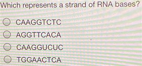 Solved Which Represents A Strand Of Rna Bases Caaggtctc Aggttcaca Caaggucuc Tggaactca [algebra]