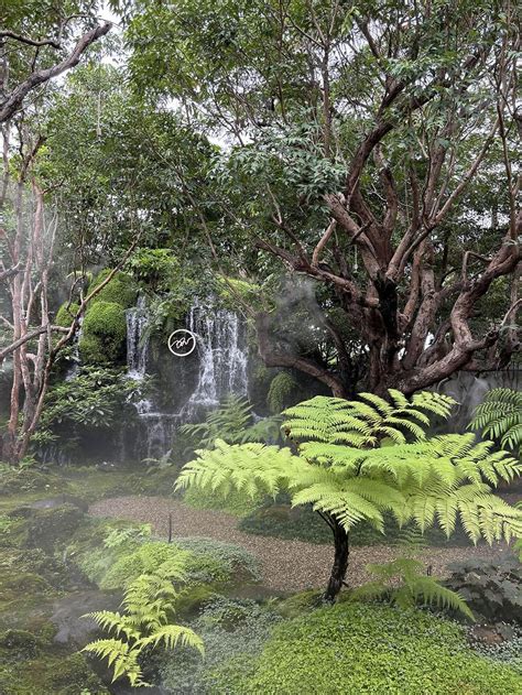여행후기 치앙마이 촘 카페 식사 커피 아바타촬영지느낌 태국 여자혼자여행 내돈내산