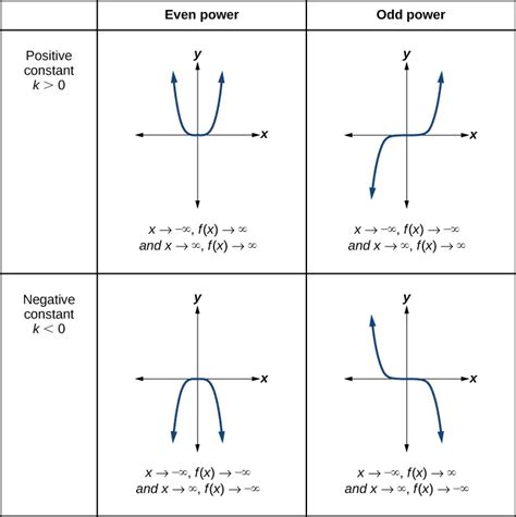 Power Function Definition Formula Types Of Graphs Healthy Food Near Me