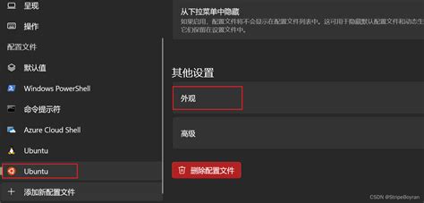 在wsl上使用zsh wsl zsh csdn博客