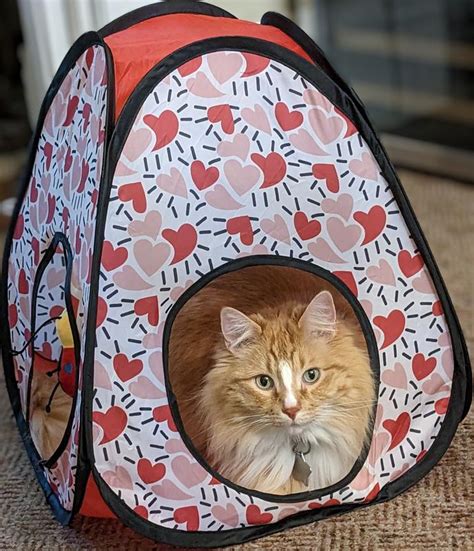 Temporarily Unavailable Frisco Valentine Love Bug Pop Up Tent Cat Toy With Catnip