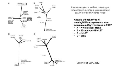 Bacterial Identification And Typing Methods Rus Ppt
