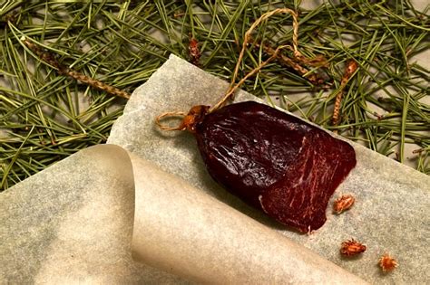 알 사슴 고기로 만든 말린 소시지 소나무 싹 클로즈업으로 양피지에 슬라이스로 잘라 소나무 바늘로 만든 바닥 가공육에 대한 스톡 사진 및 기타 이미지 Istock