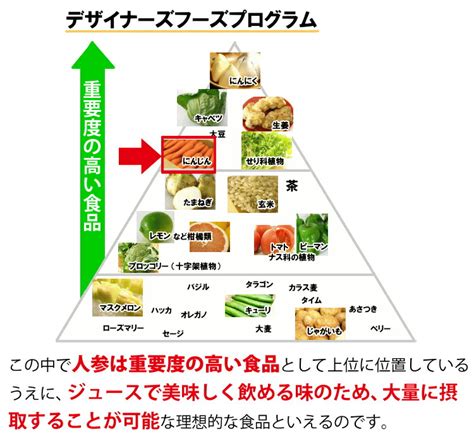 【楽天市場】無農薬にんじん ゲルソン療法とは？：ピカイチ野菜くん
