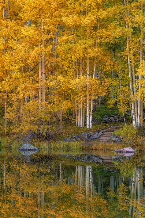 Lakeside Pathway Vertical San Juans Colorado Mickey Shannon Photography