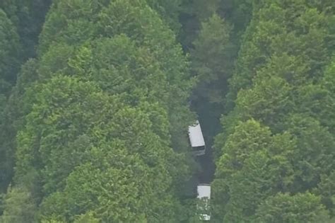 Porn Star In Japan Found Naked And Tied To Forest Tree Reports