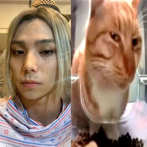 Chishiya Cat Pfp Nel 2025 Attori Amore