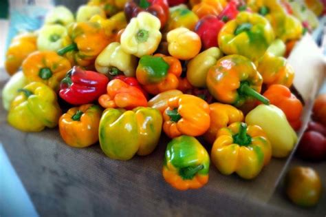 How To Choose An Editing Style For Your Iphone Photos