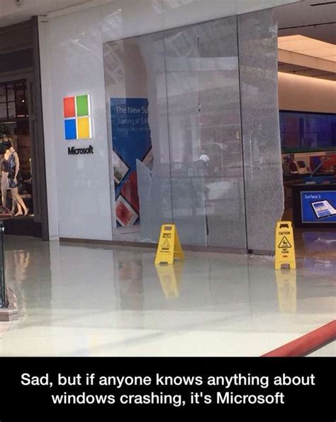 Crashed Window Meme By Soydolphin Memedroid