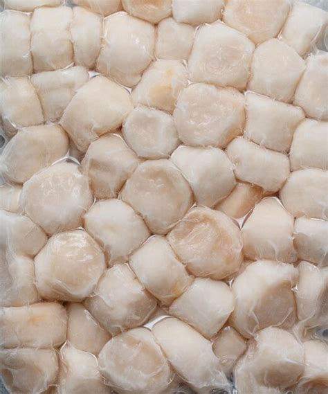 Premium Photo Scallop Closeup