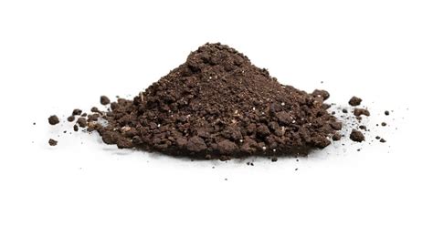 Soil Science Archives Basic Agricultural Study