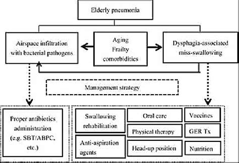 The Management Strategy For The Treatment Of Pneumonia In Relation To