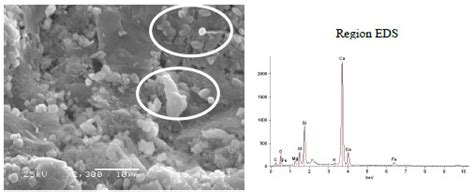 Durability Analysis Of Reinforced Concrete With Loading Induced Cracks