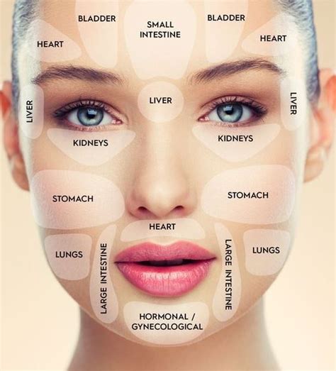 Acne Face Map Via Natural Skin Care Face Mapping