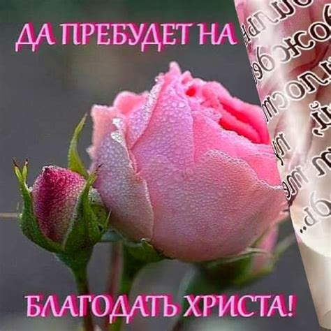 С ДОБРЫМ УТРОМ С НОВЫМ ДНЕМ Youtube