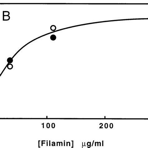 Interaction Of F Actin Cross Linking Proteins With Synechocystis Download Scientific Diagram