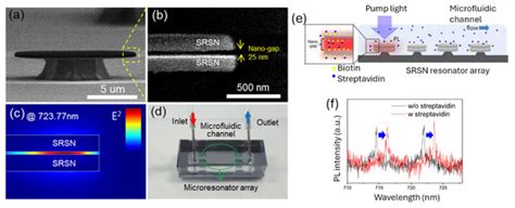 Integrated Photonic Biosensors Enabling Next Generation Lab On A Chip Platforms