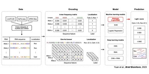 Bioinformatics And Interdisciplinary Technologies Bits — Yang Lab