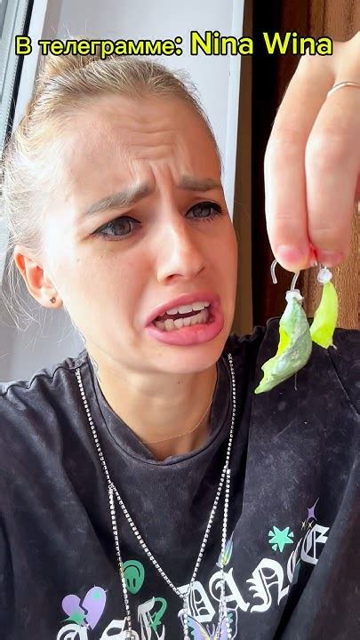 Что с этим делать🤯😱 Помогите 🙏 бабочки бабочка насекомые прикол приколы эксперимент Youtube