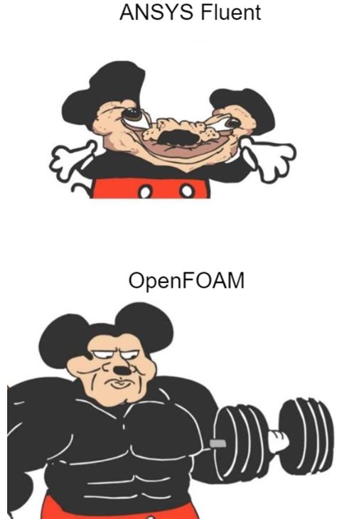 Average Ansys Users Vs Openfoam Enjoyers Rcfd