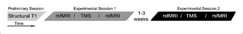 Figure 1 From A Hierarchy Of Timescales Explains Distinct Effects Of