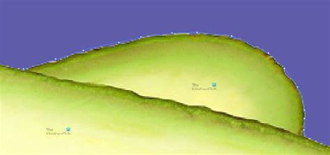 How To Remove Background From Image In Illustrator