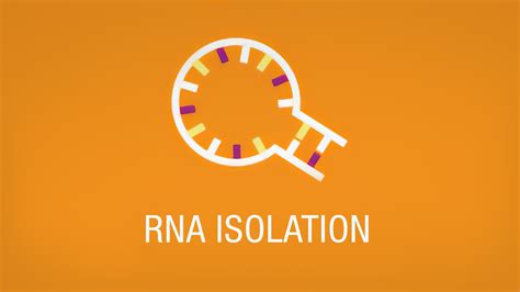 基因表达分析 — Bio Rad